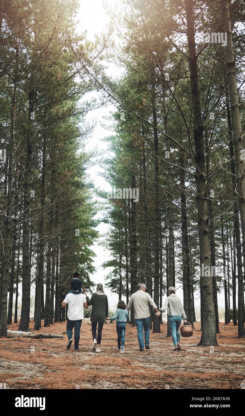 Nature walk, family and park, outdoor and together bonding with trees ...