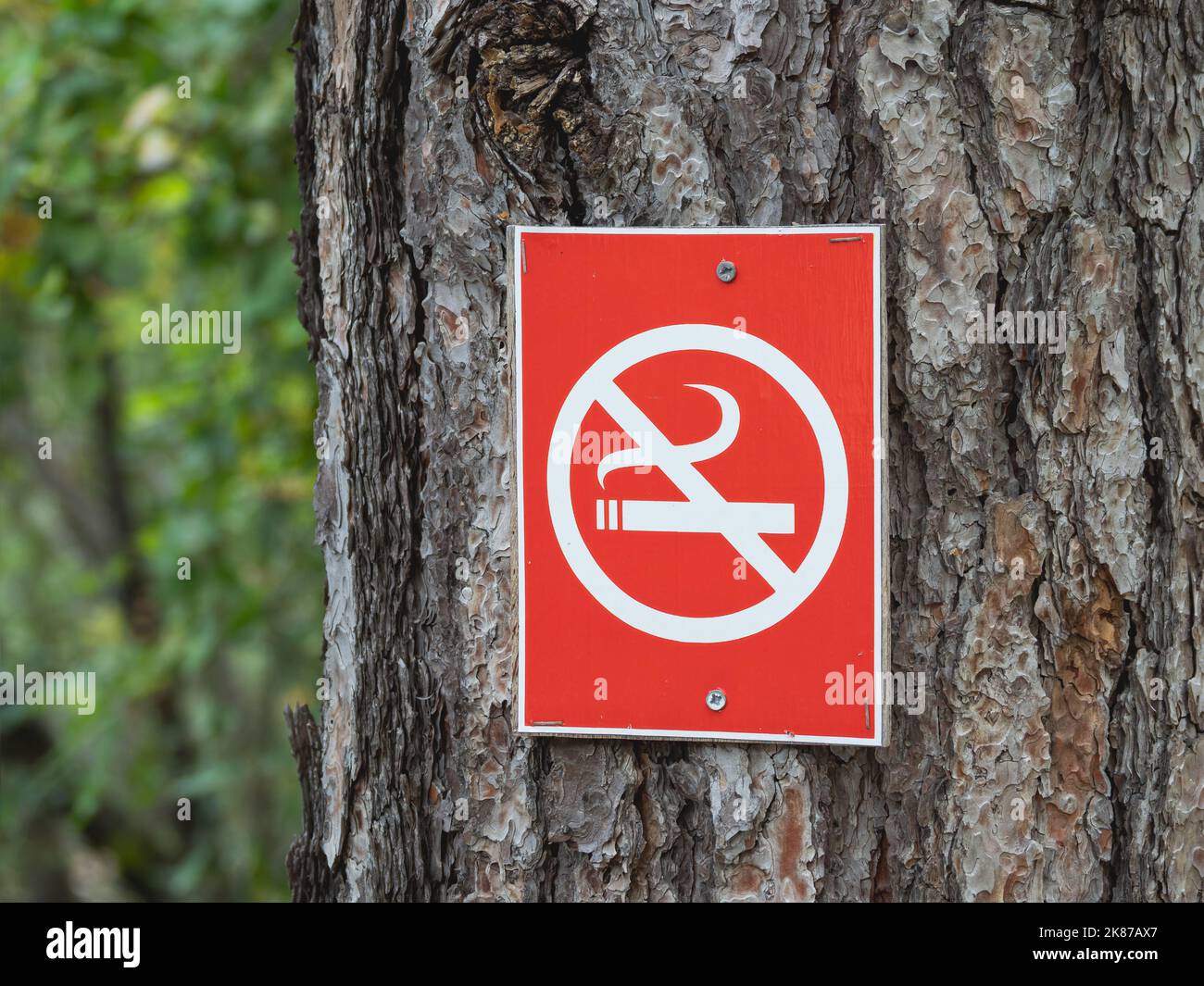 Red NO SMOKING sign on tree outdoors. Rules of conduct and safety in ...