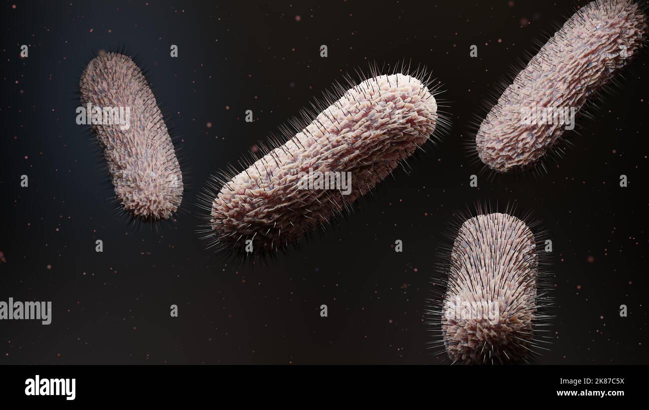 Peritrichous Bacteria with lot of flagellum, bacteria with long tails ...