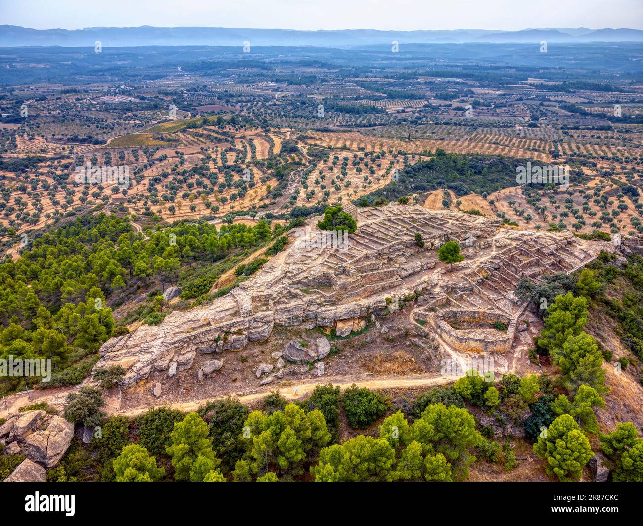 Aerial spain hills olive trees hi-res stock photography and images - Alamy
