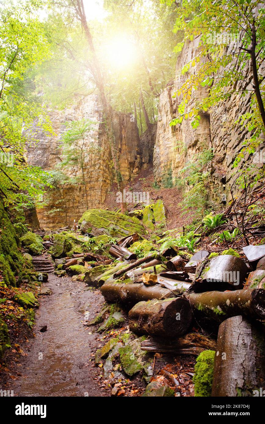 Mullerthal trail in Luxembourg between Echternach and Berdorf, hiking ...
