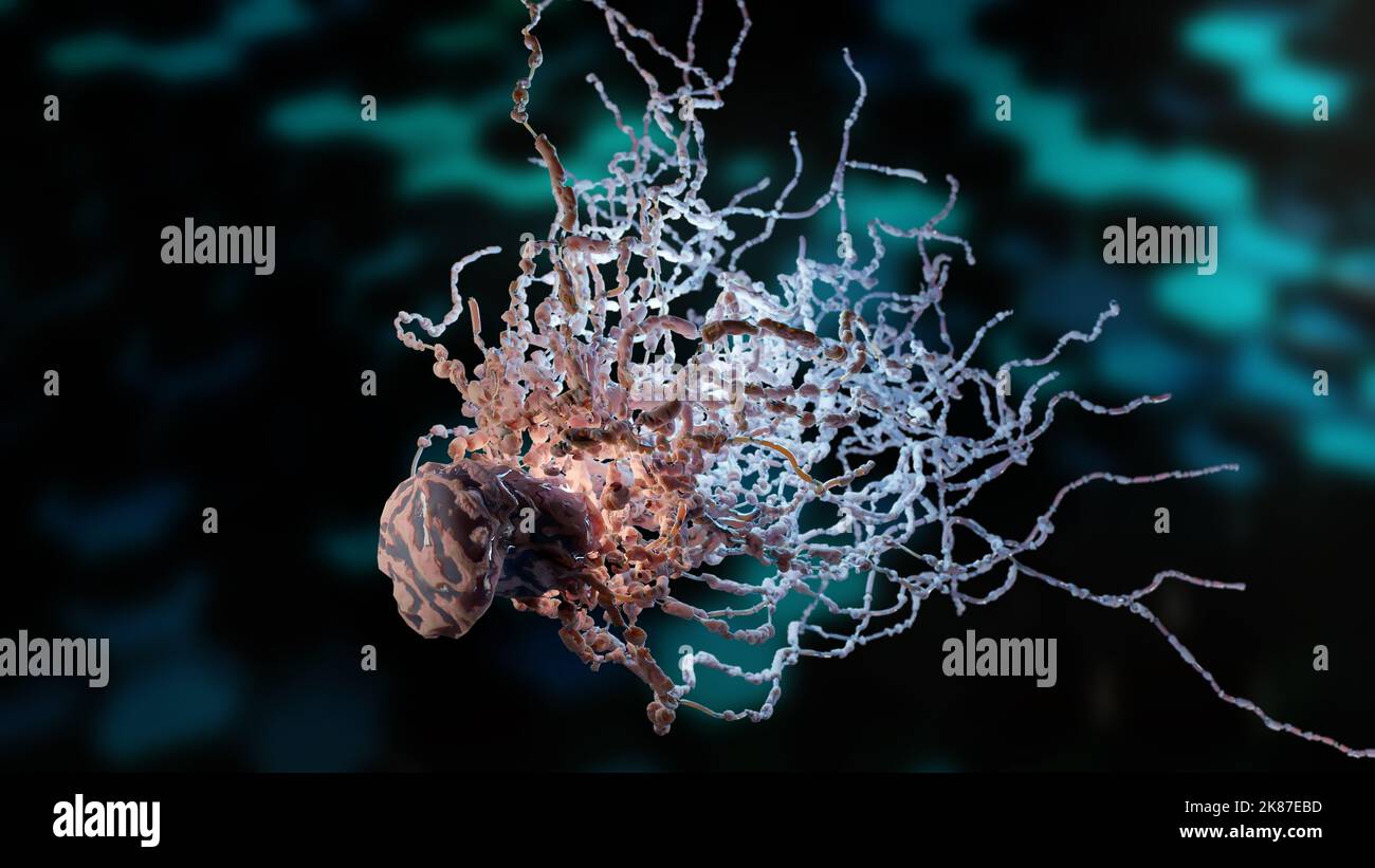 Peritrichous Bacteria with lot of flagellum, bacteria with long tails ...