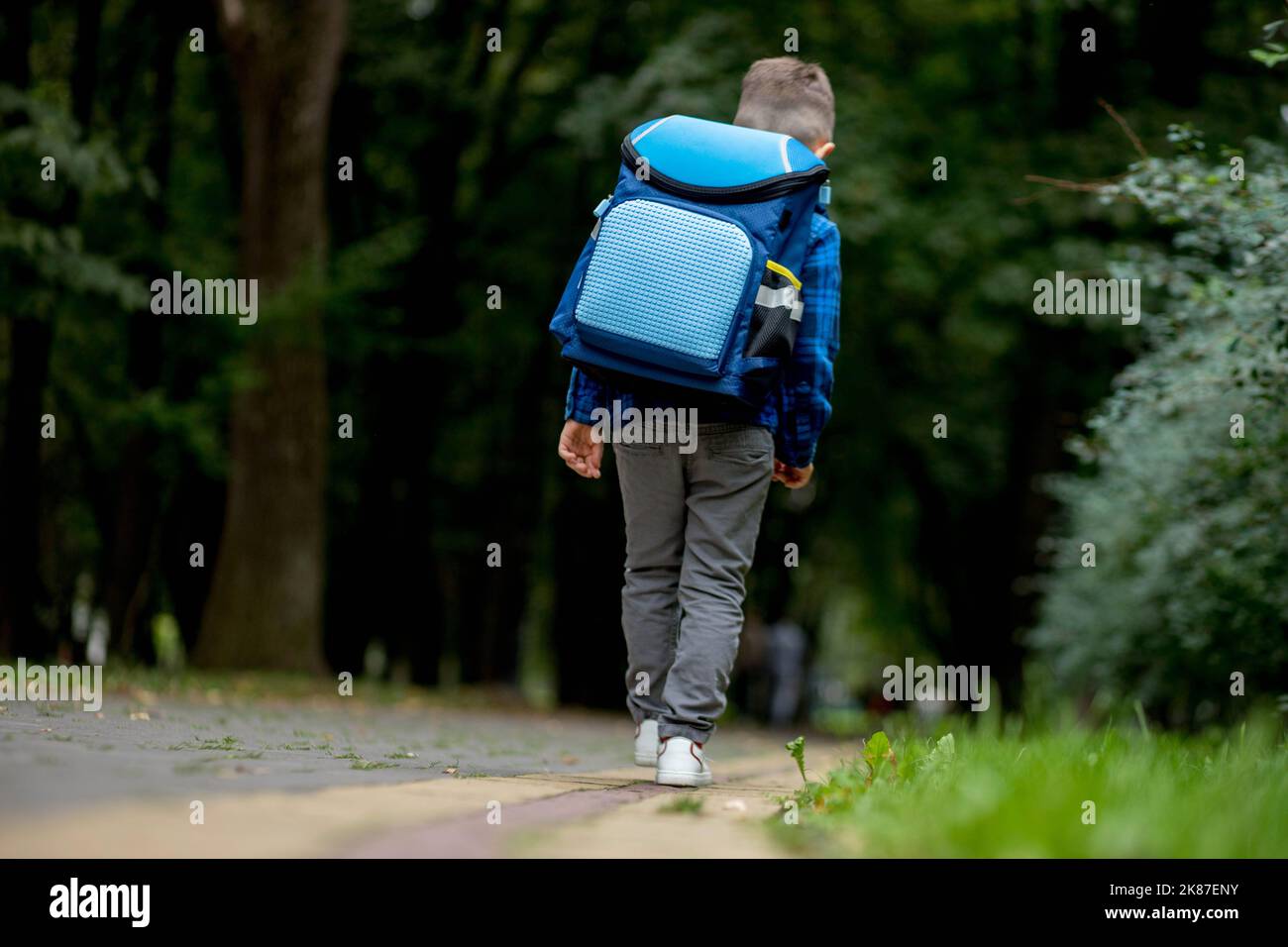 Little boy with backpack going to school. Rear view. First grader Stock ...