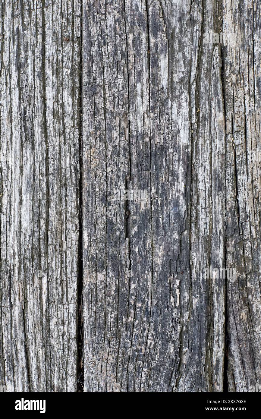 Old cracked wood plank background. Wood texture. Front view with copy space Stock Photo - Alamy