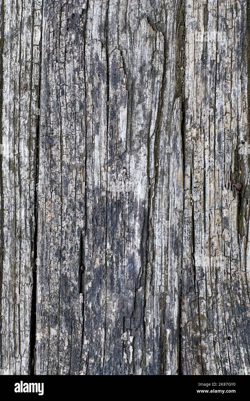 Old cracked wood plank background. Wood texture. Front view with copy space Stock Photo - Alamy