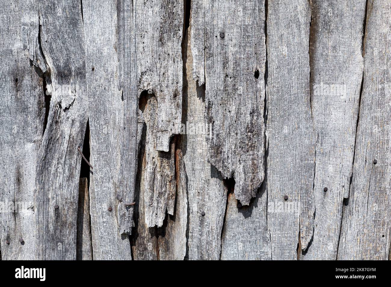 Old cracked wood plank background. Wood texture. Front view with copy space Stock Photo - Alamy
