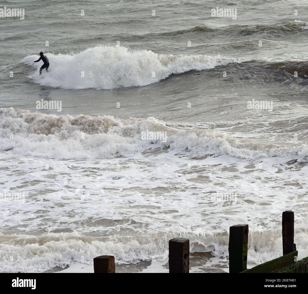 A surfer riding the waves at high tide, alongside groynes on the beach ...