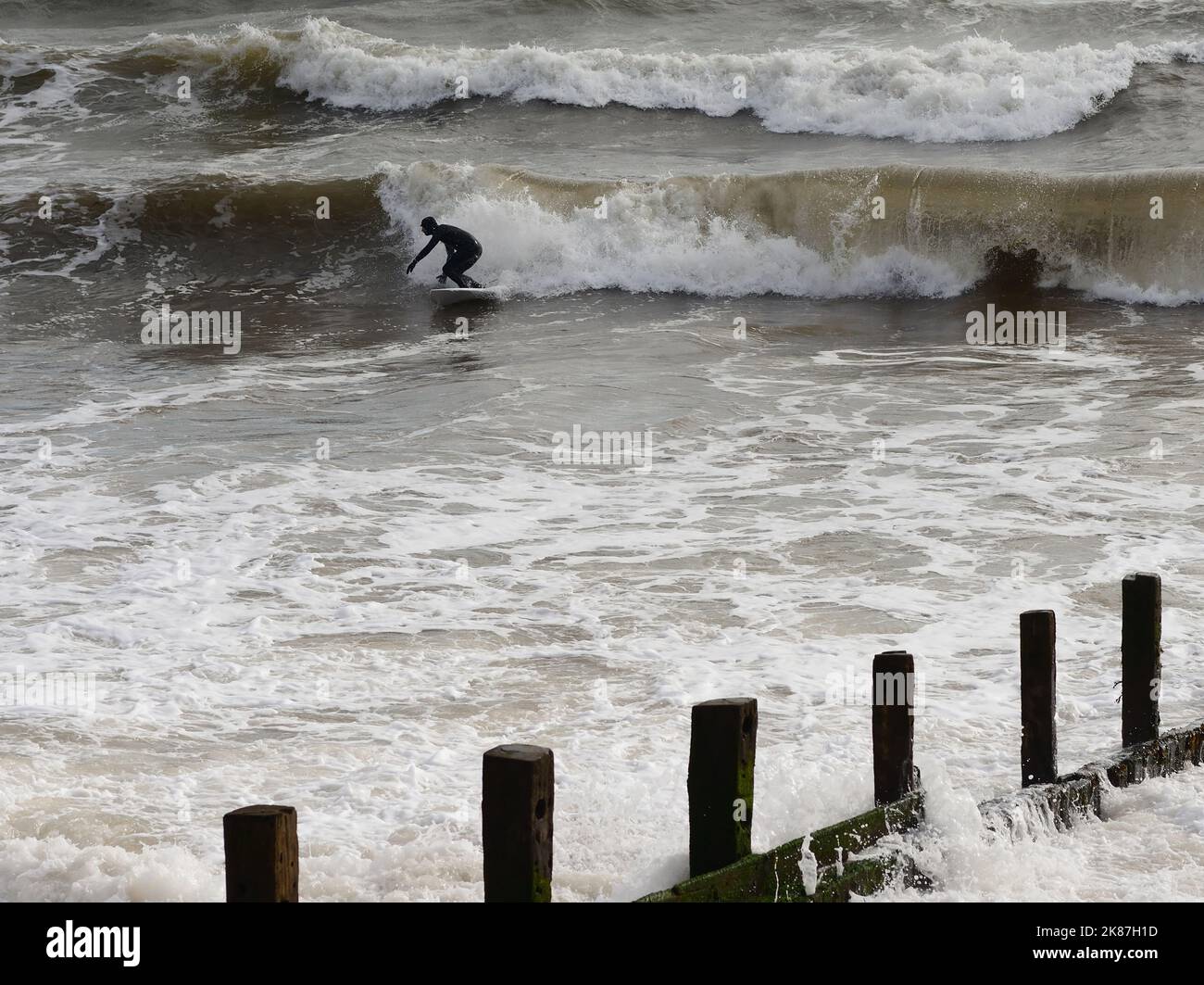A surfer riding the waves at high tide, alongside groynes on the beach ...