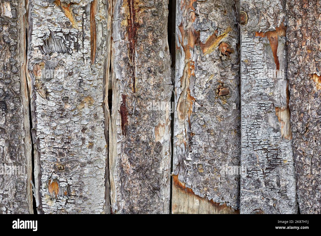 Old cracked wood plank background. Wood texture. Front view with copy space Stock Photo - Alamy