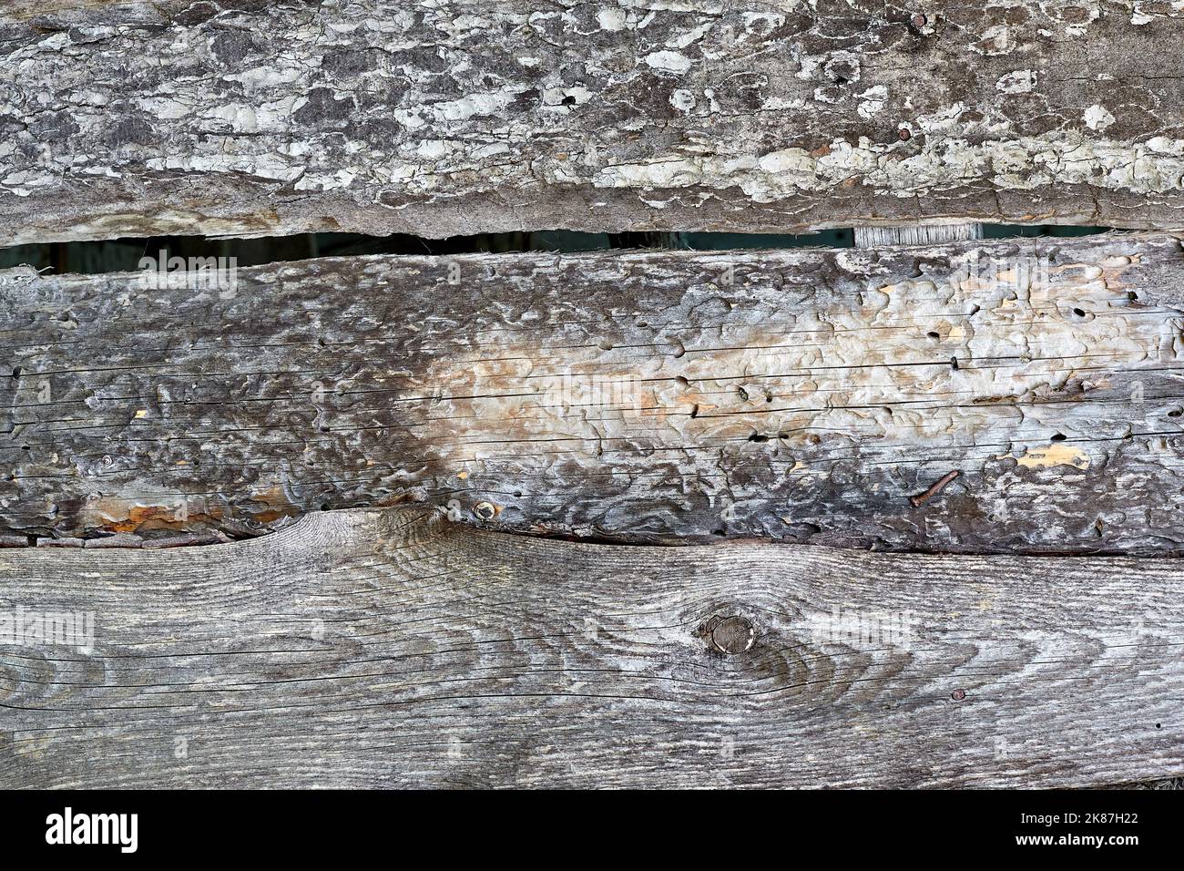 Old cracked wood plank background. Wood texture. Front view with copy space Stock Photo - Alamy