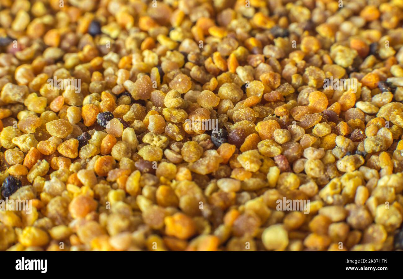 Pollen structure hi-res stock photography and images - Alamy