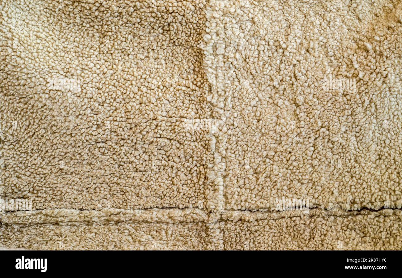 Sheepskin background texture Stock Photo - Alamy