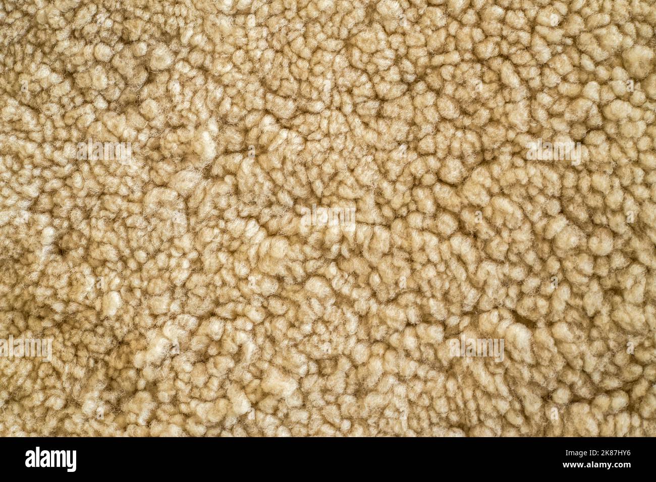 Realistic detail hi-res stock photography and images - Alamy