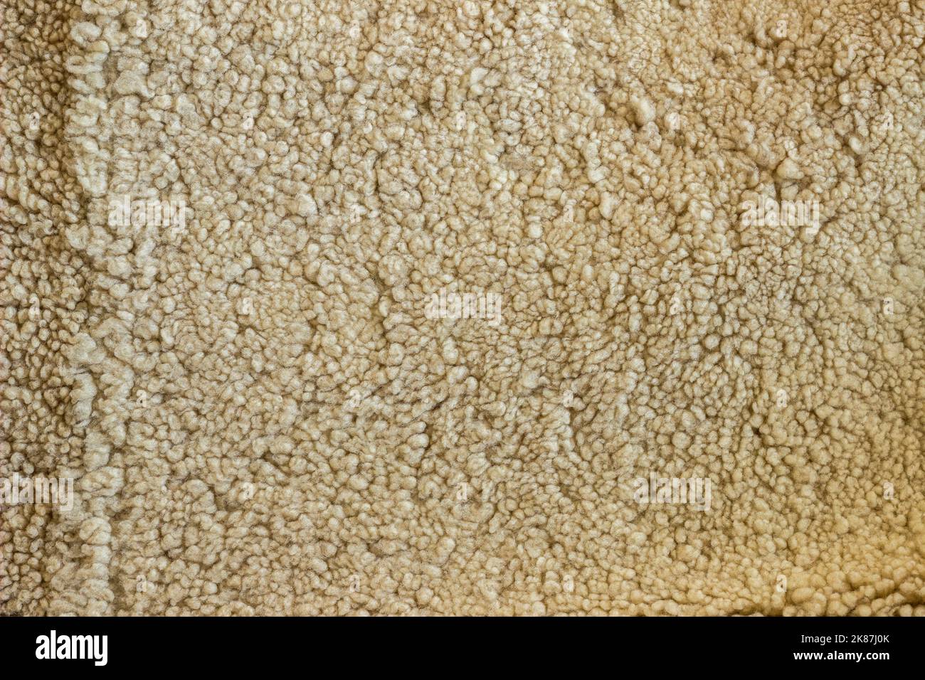 Sheepskin background texture Stock Photo - Alamy