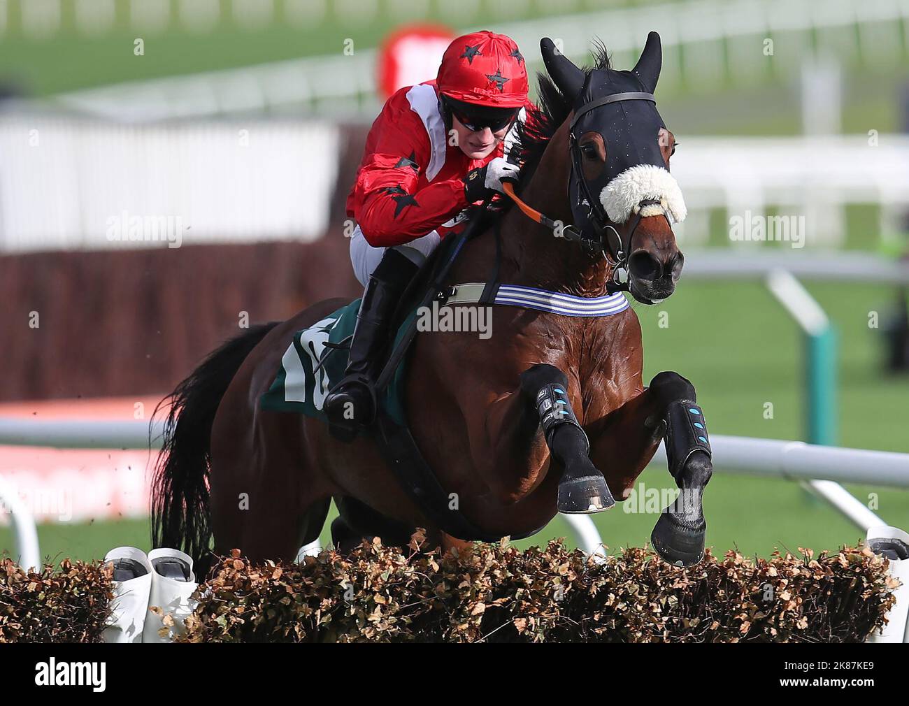 2022 icon hi-res stock photography and images - Alamy