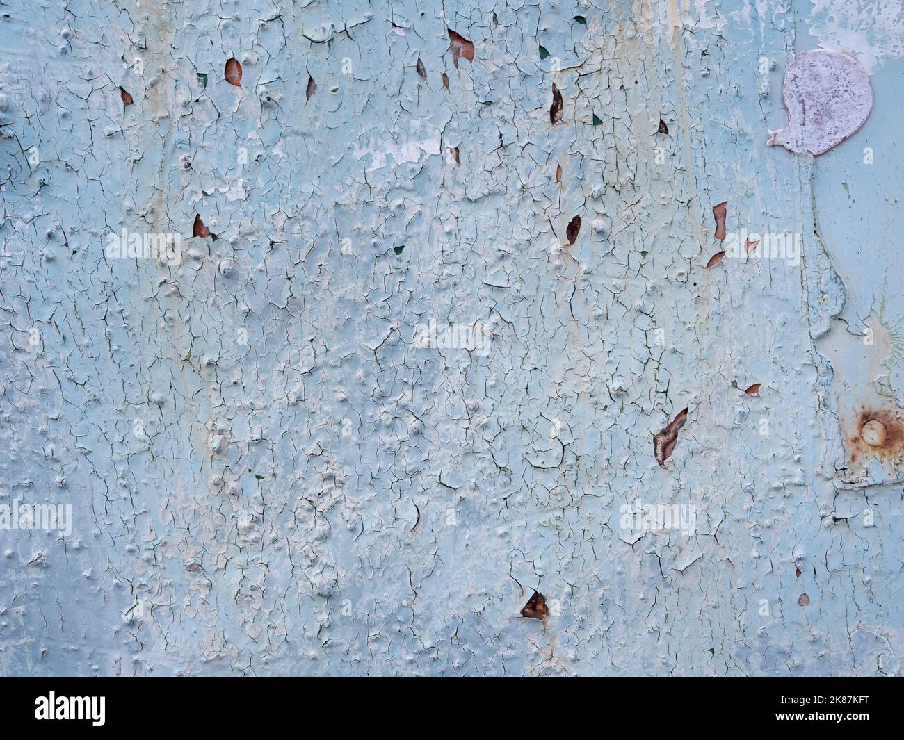 High quality old grunge rusted sheet metal texture painted in blue ...