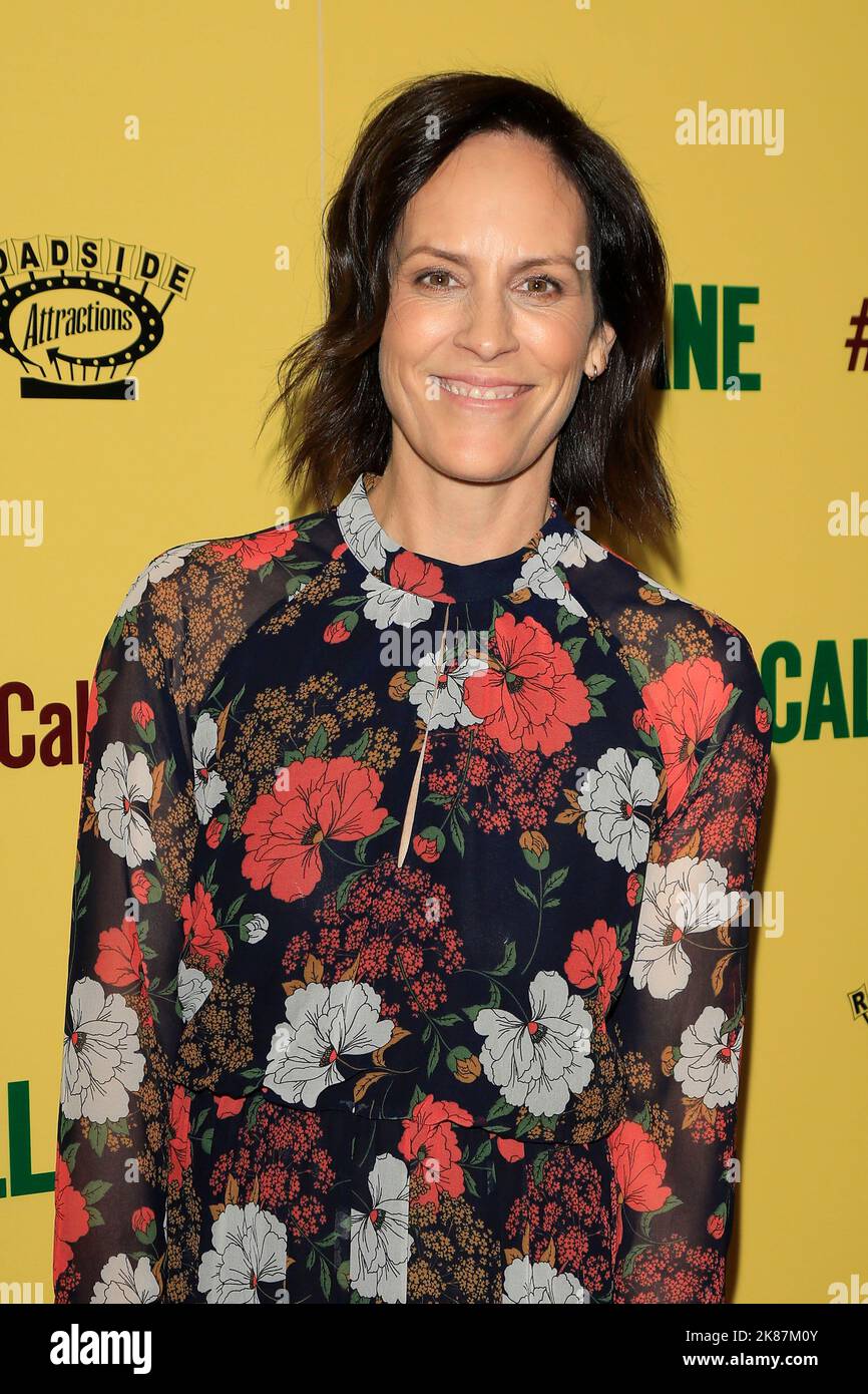 LOS ANGELES - OCT 21: Annabeth Gish at the Call Jane Premiere at the ...