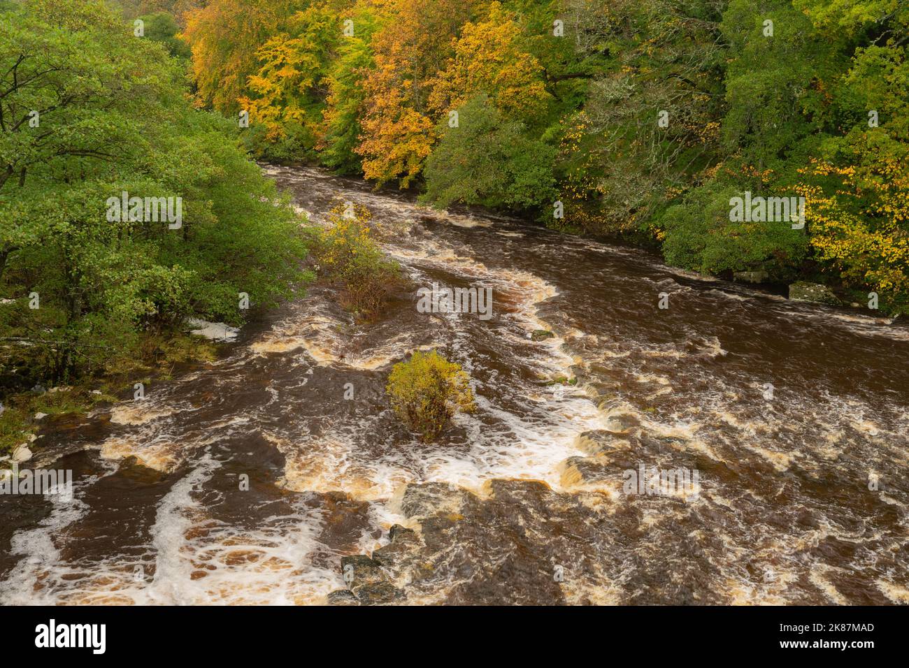 River Allen at Staward Gorge in Northumberland, UK Stock Photo - Alamy