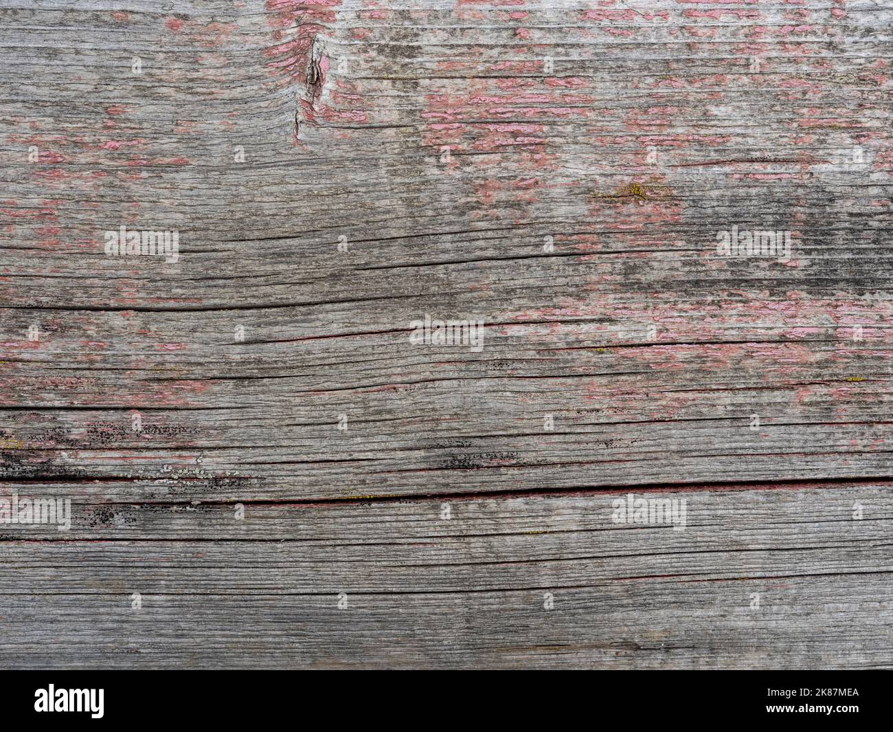 Painted pink background hi-res stock photography and images - Alamy