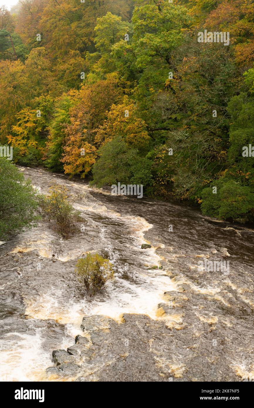 River Allen at Staward Gorge in Northumberland, UK Stock Photo - Alamy