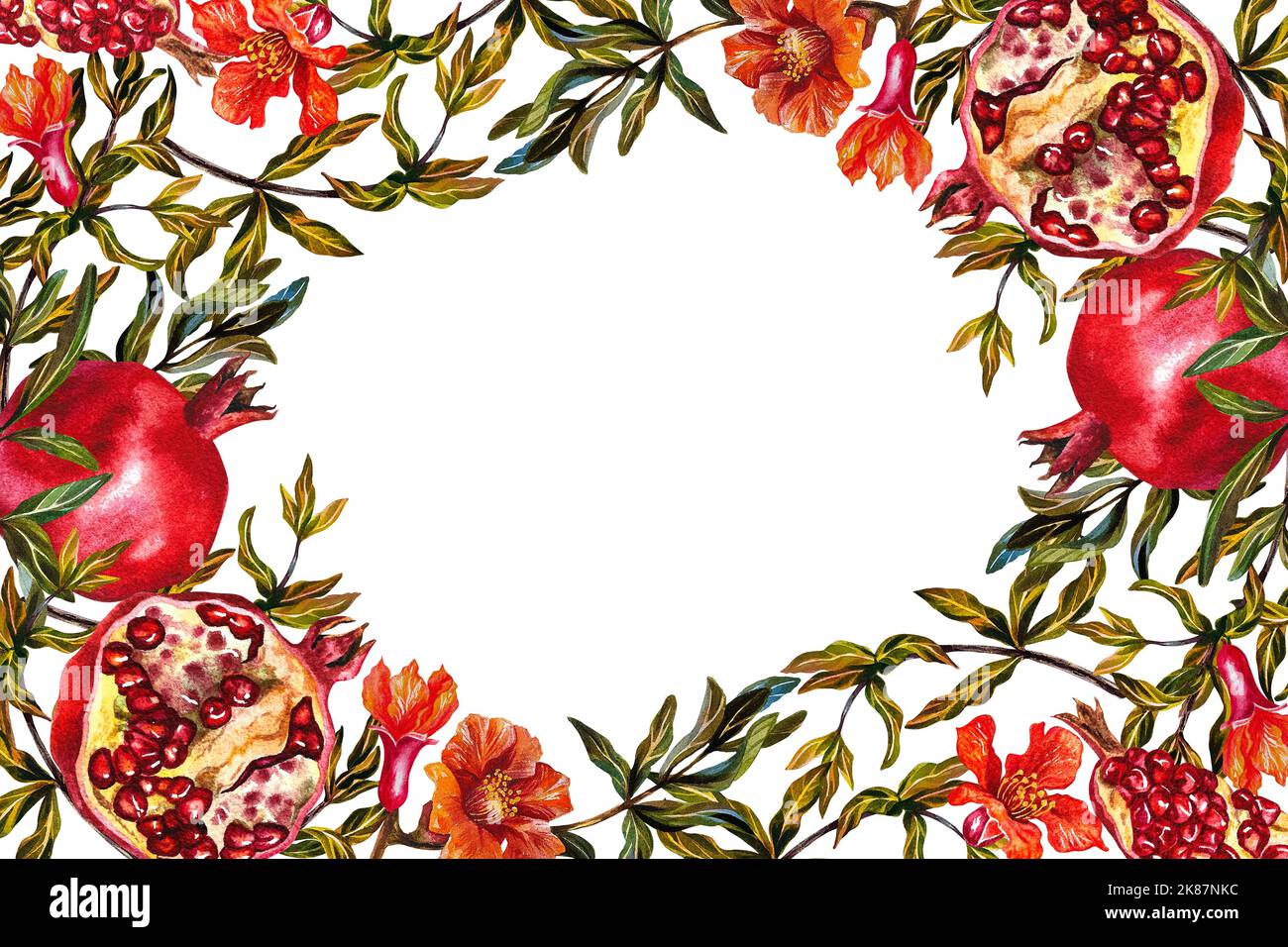 Pomegranate. Frame of pomegranate fruits on a branch, burst, cut ...