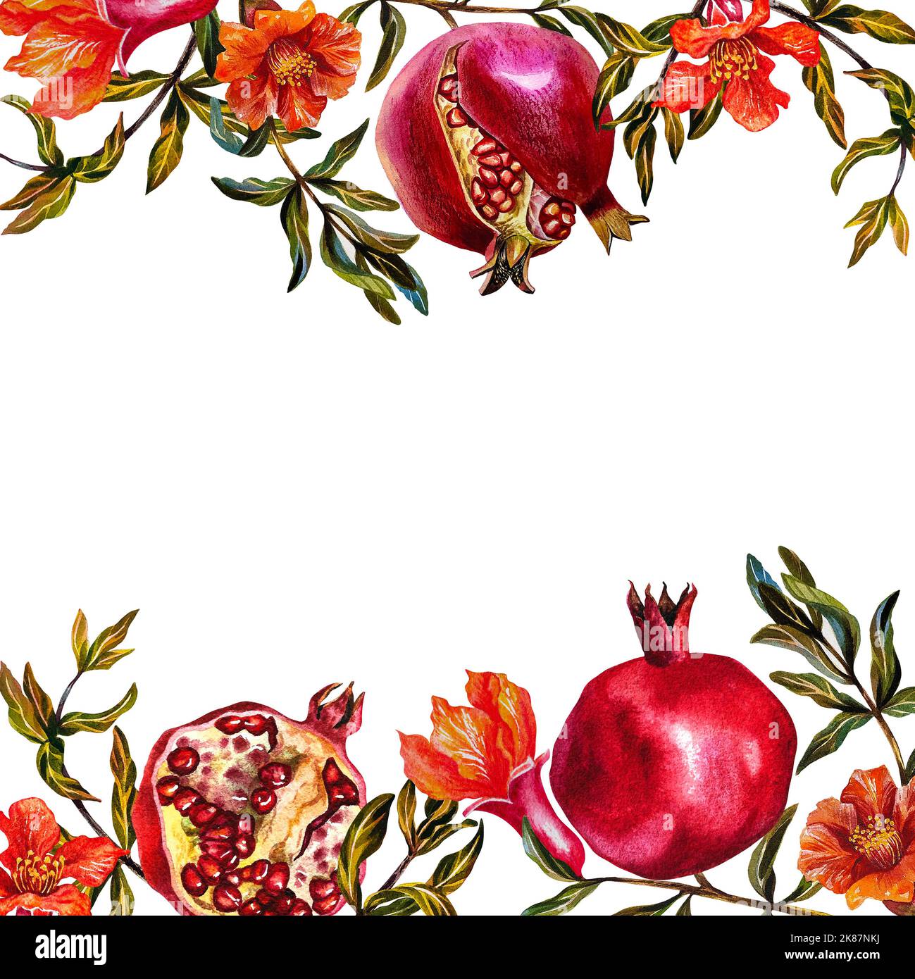 Pomegranate. Frame of pomegranate fruits on a branch, burst, cut ...