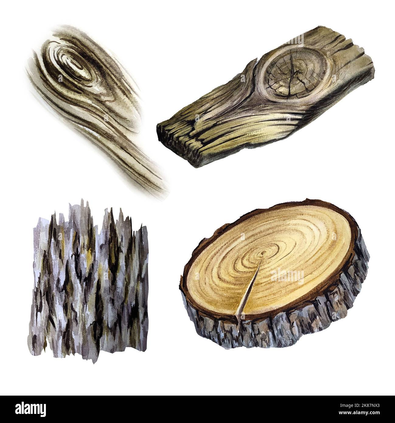 Set of old wooden plank, round cutting wood and bark. Watercolor ...