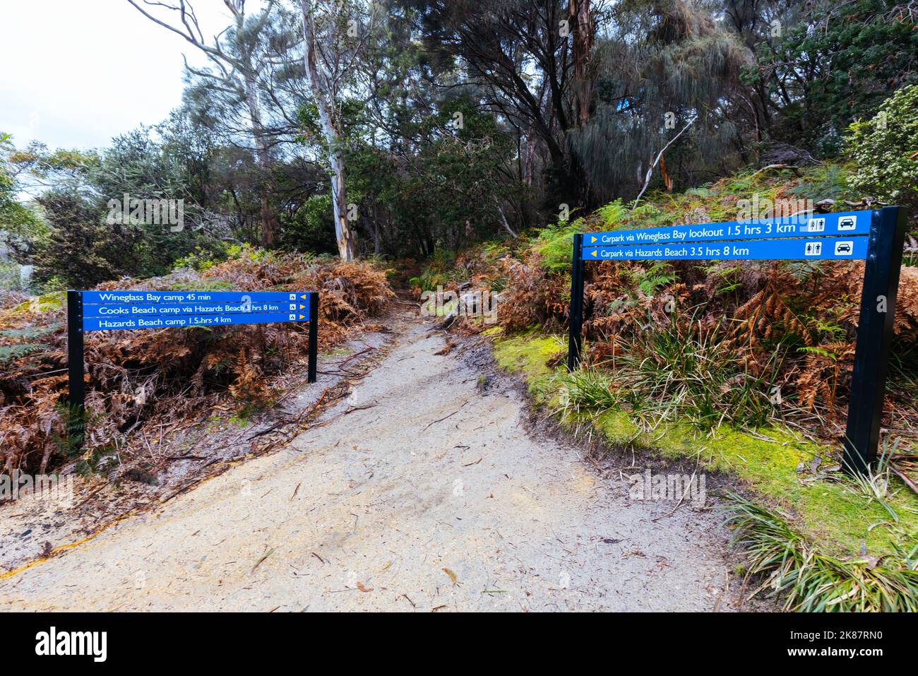 Freycinet Peninsula Circuit in Tasmania Australia Stock Photo - Alamy