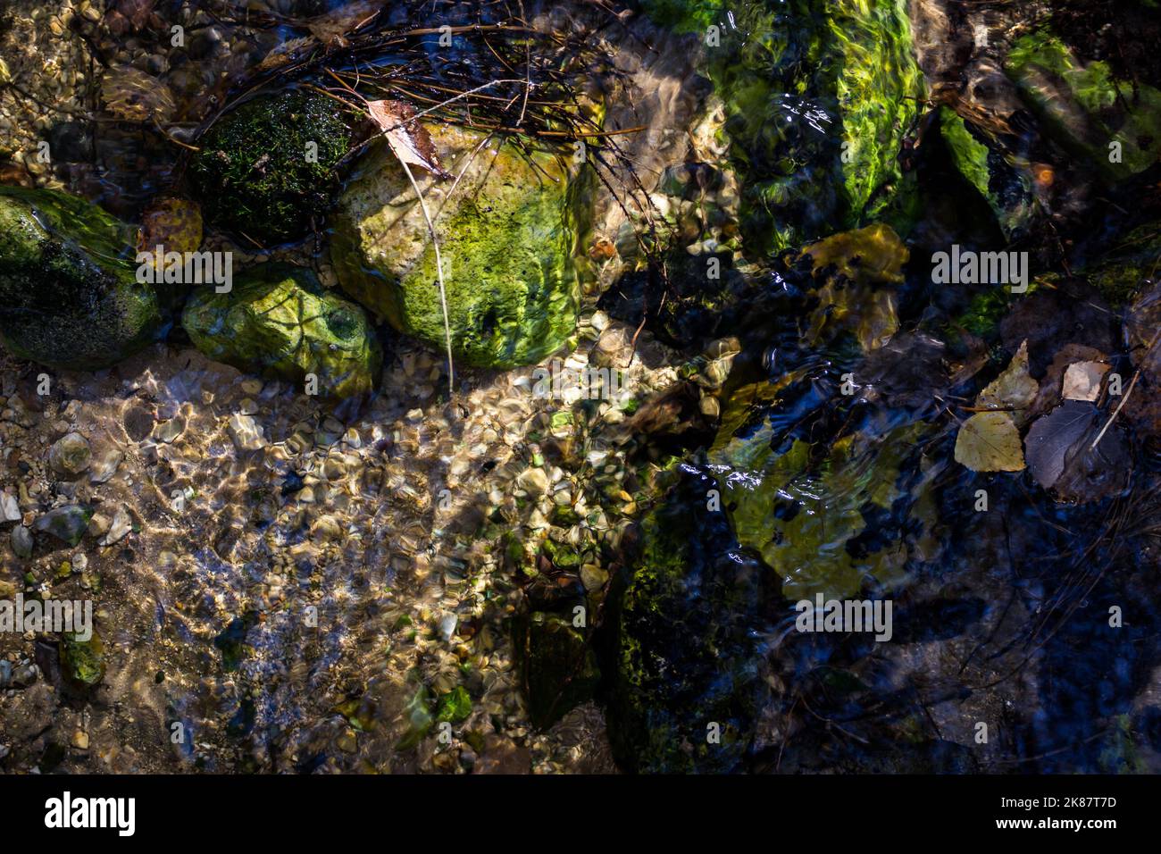 Rocky stream bed with clear water background Stock Photo - Alamy