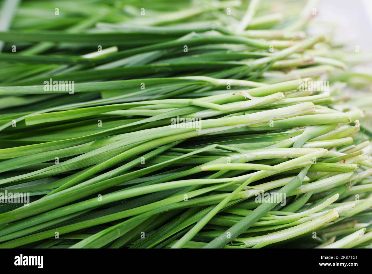 QINGDAO, CHINA - OCTOBER 21, 2022 - Chinese leeks are seen at a market ...