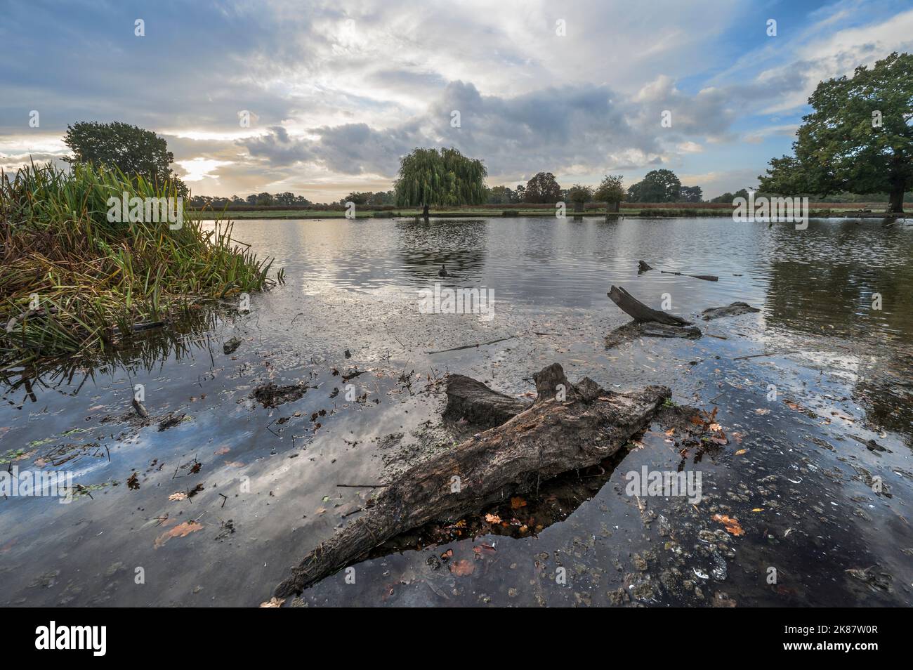 Magnificent natural environment hi-res stock photography and images - Alamy