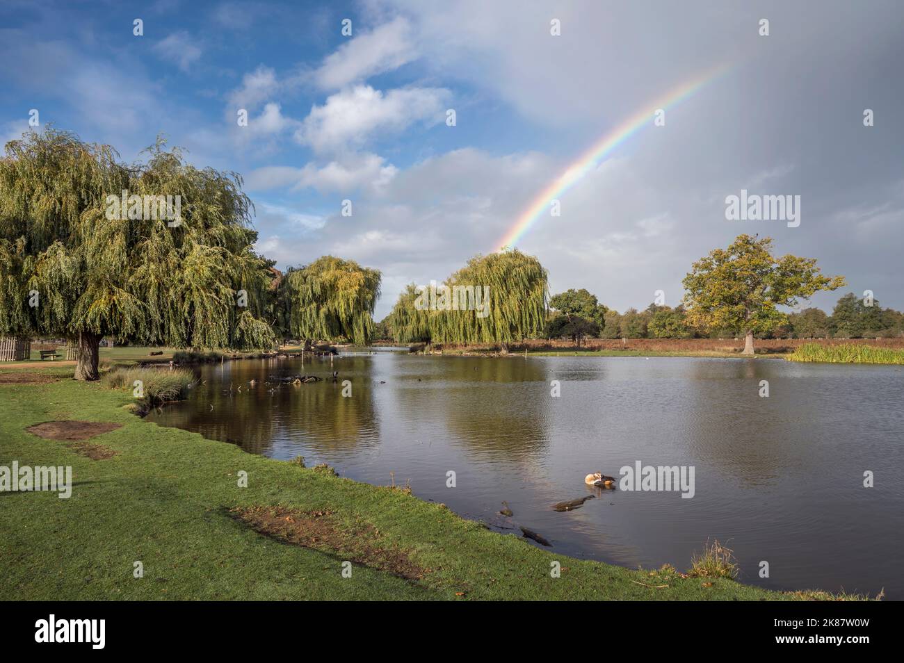 Rainbow over ponds at Bushy Park in Surrey Stock Photo - Alamy