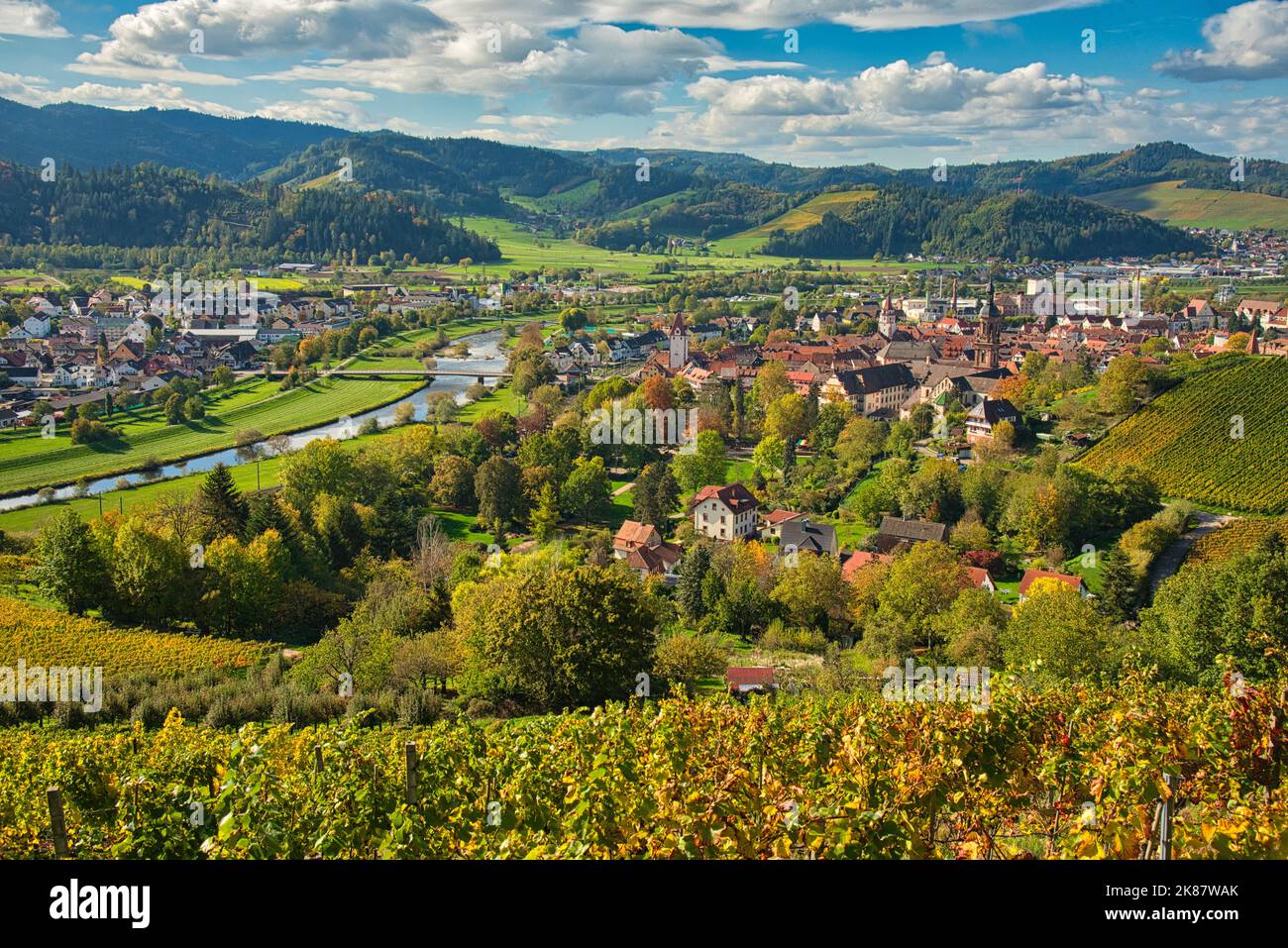 autumn time in the black forest in germany in the heights of Gengenbach ...