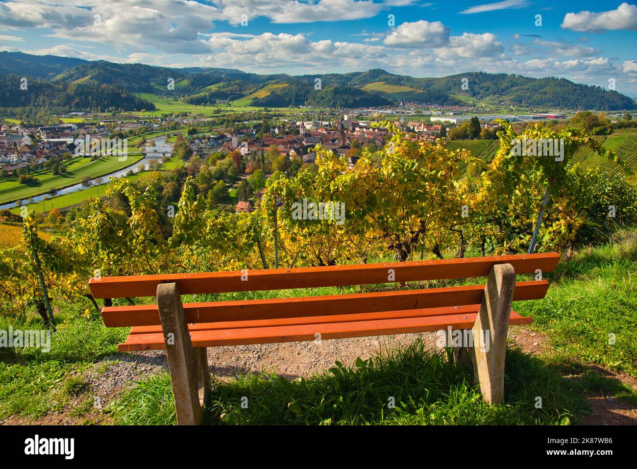 autumn time in the black forest in germany in the heights of Gengenbach ...