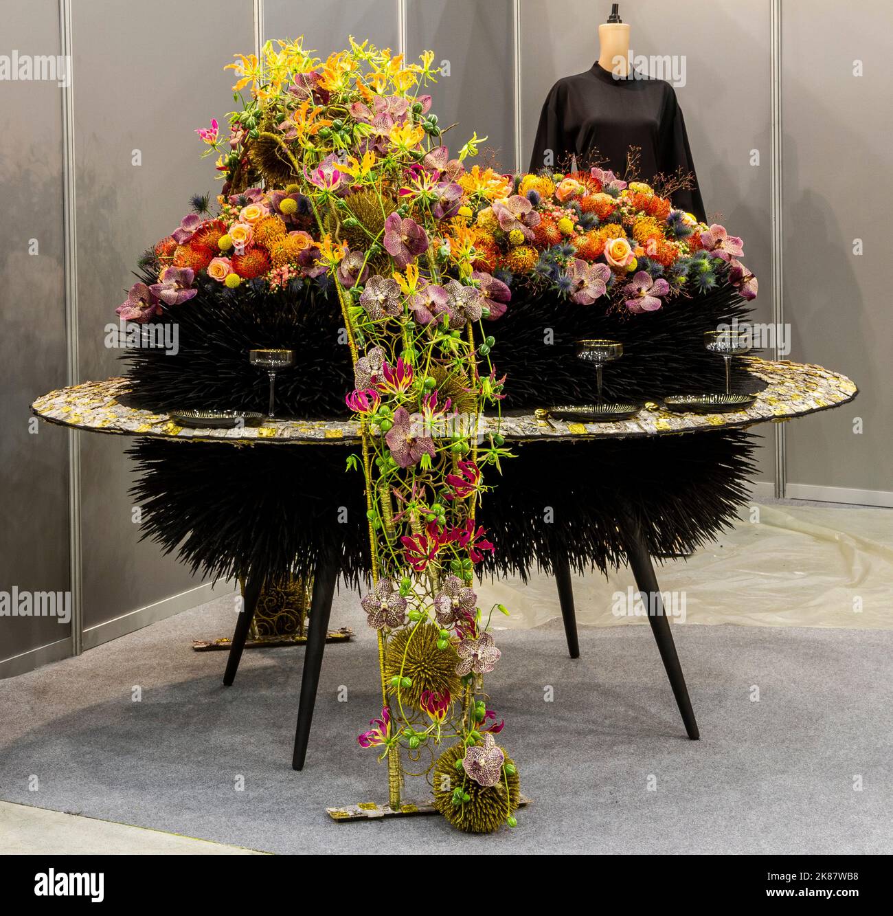 Stefan van berlo belgium 2022 europa cup hi-res stock photography and ...