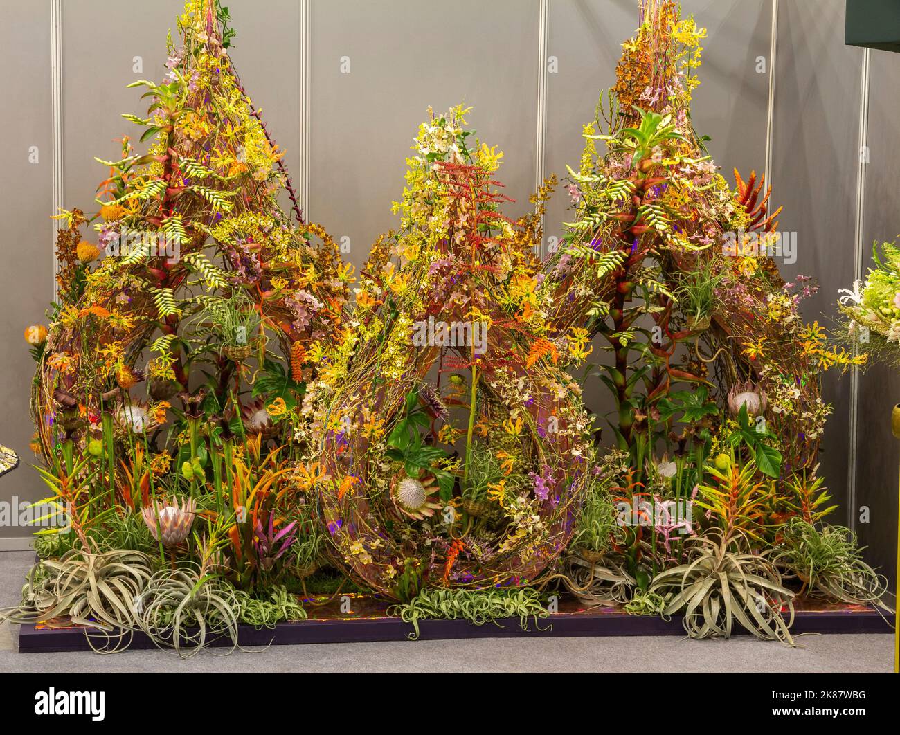 Stefan van berlo belgium 2022 europa cup hi-res stock photography and ...