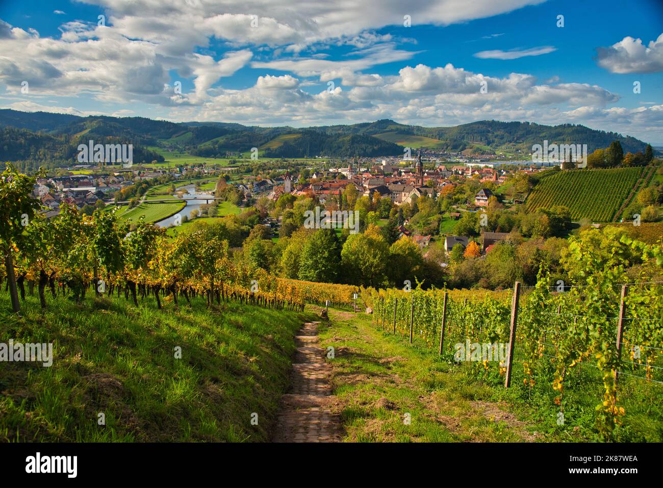 autumn time in the black forest in germany in the heights of Gengenbach ...