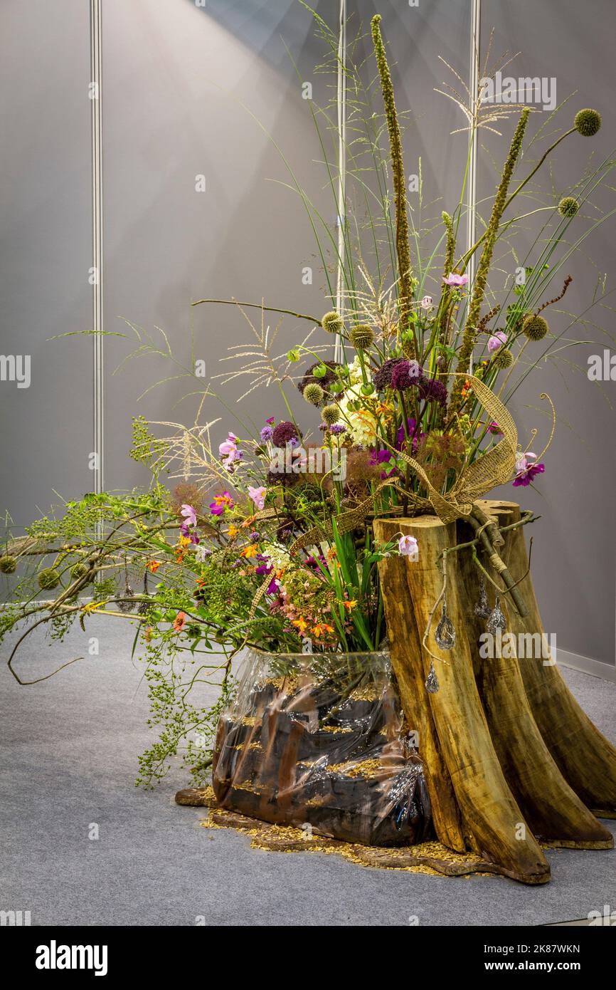 Anna wawrzyniak poland europa cup 2022 hi-res stock photography and ...