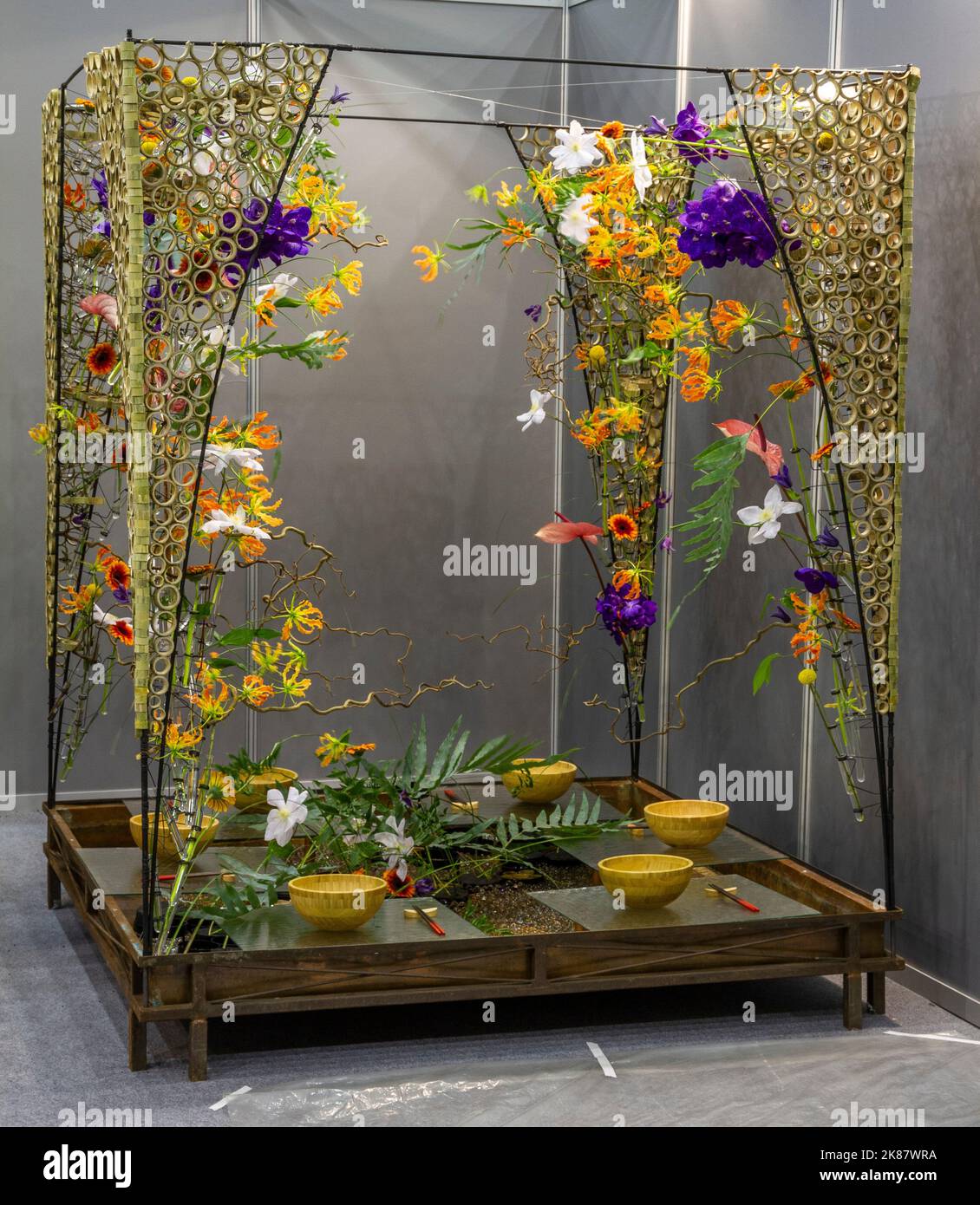 South korean competitor 2022 europ hi-res stock photography and images ...