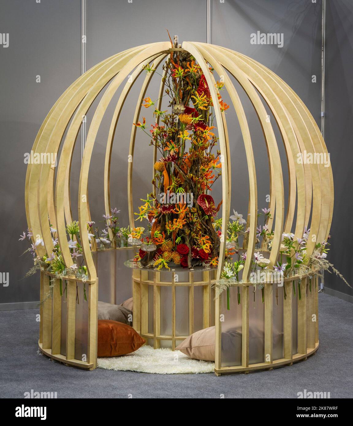 British competitor europa cup flor hi-res stock photography and images ...