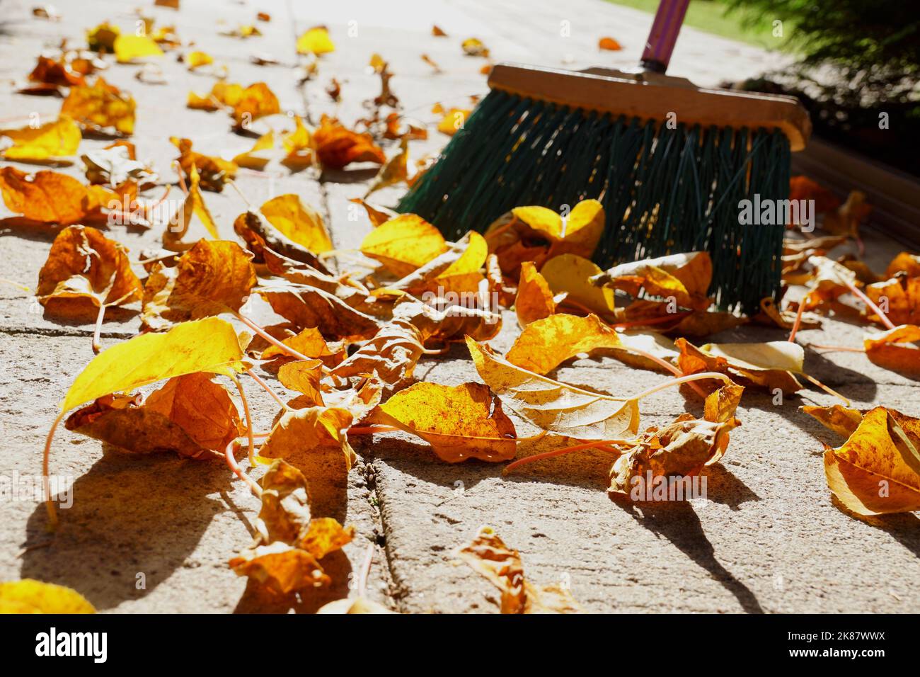 Sweeping autumn leaves hi-res stock photography and images - Alamy