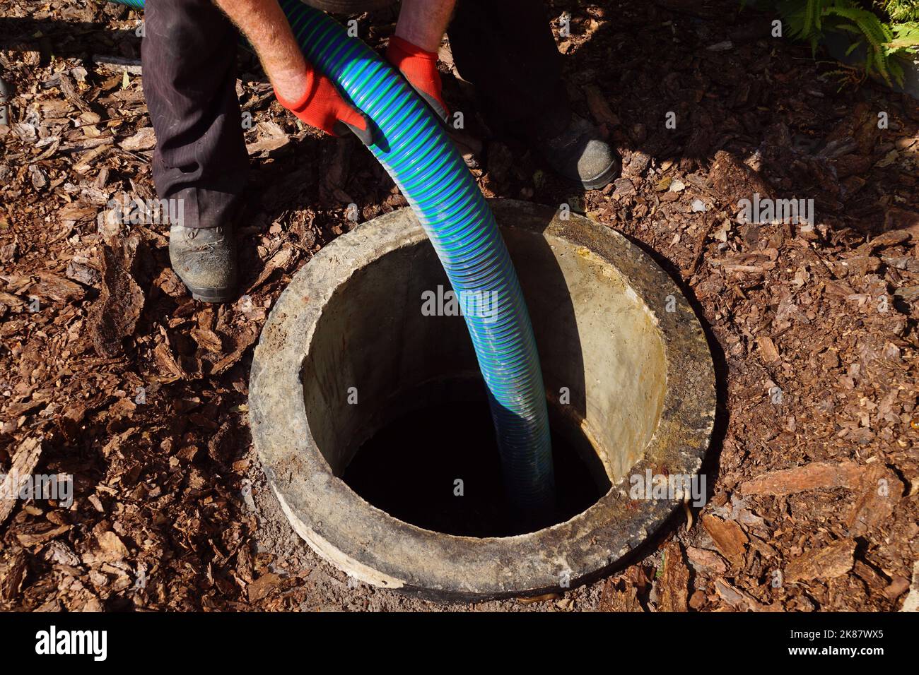 Pipe in the drainage pit. Pumping out sewage from a septic tank Stock ...