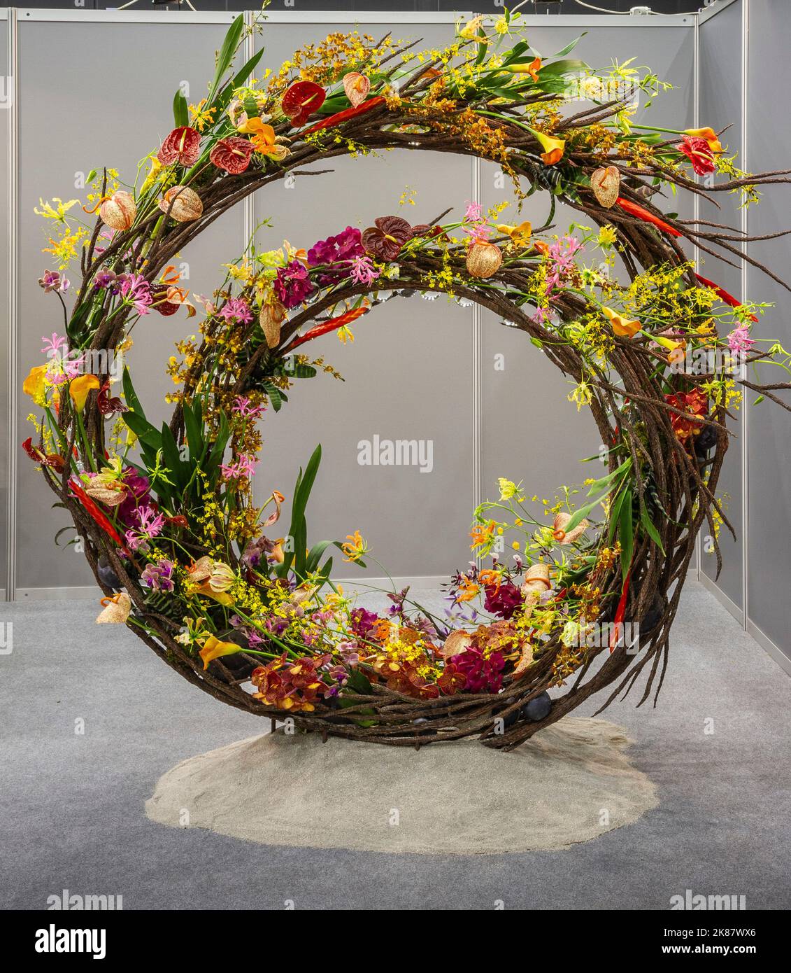 Ukrainian competitor 2022 europa hi-res stock photography and images ...