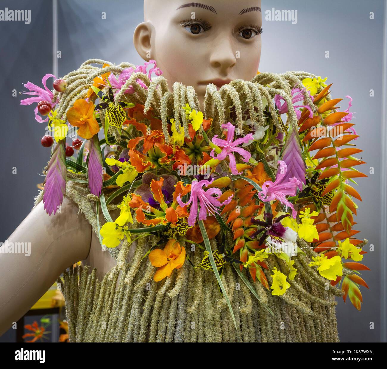 Ukraine europa cup 2022 floristry hi-res stock photography and images ...