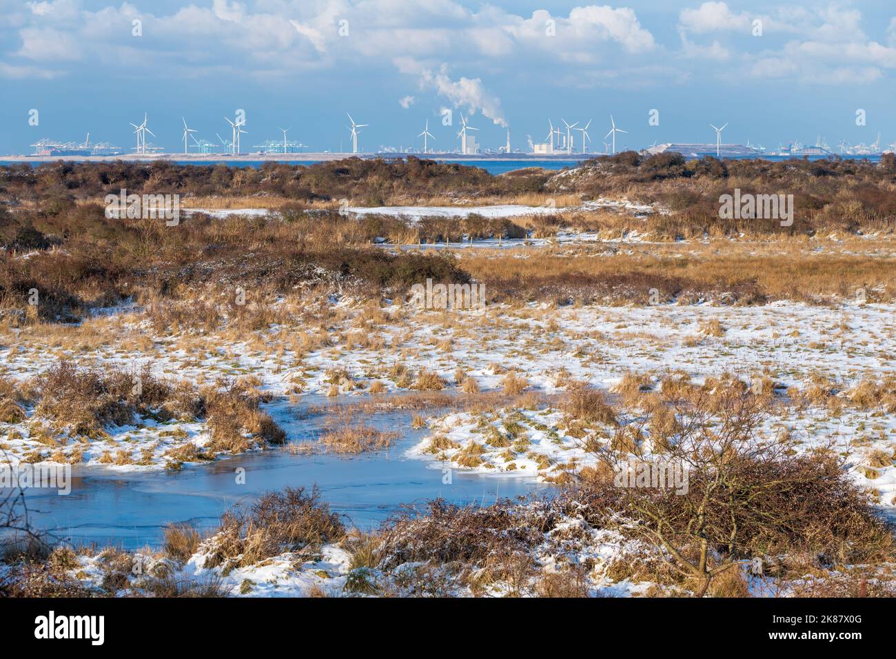 The dunes of Kwade Hoek on a winter day at Goeree-Overflakkee in The ...