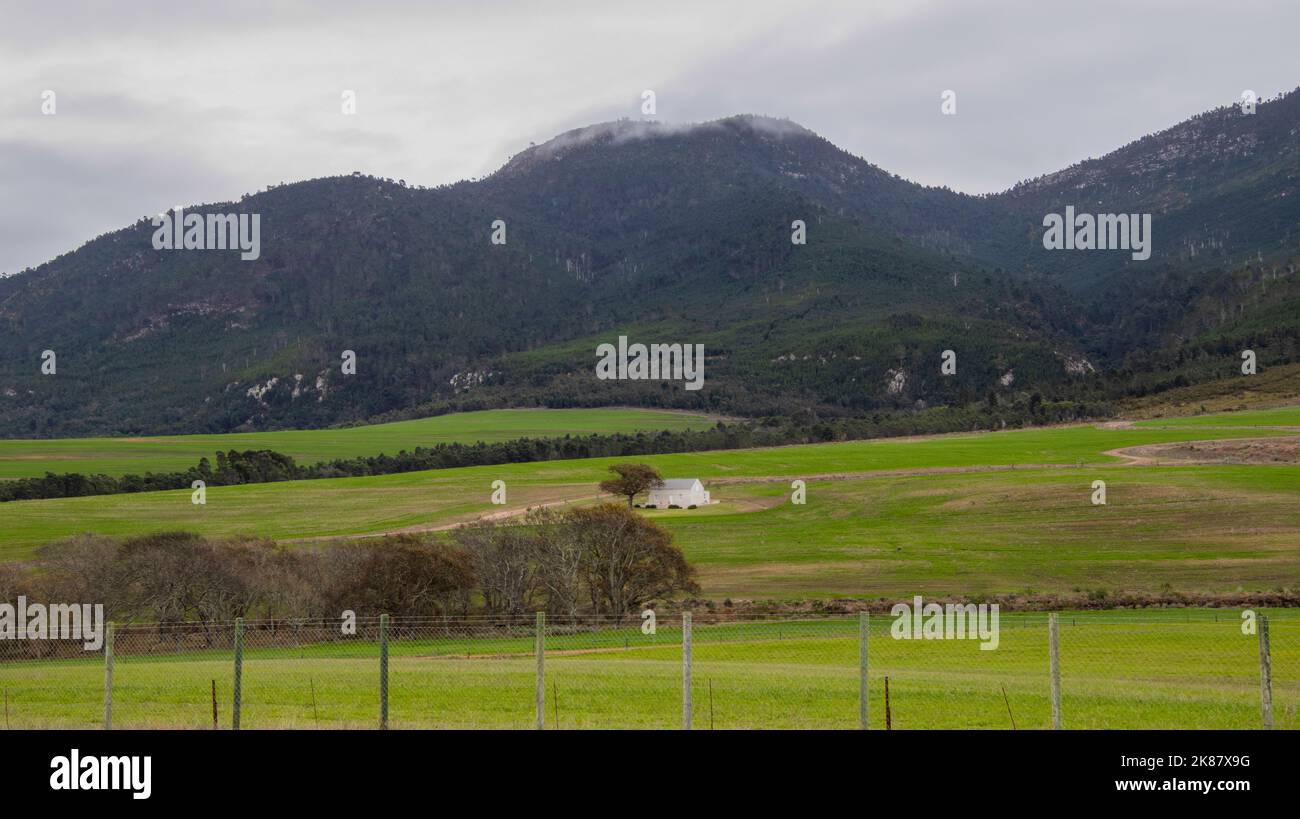A landscape view with a white dream house in the field, forested and ...