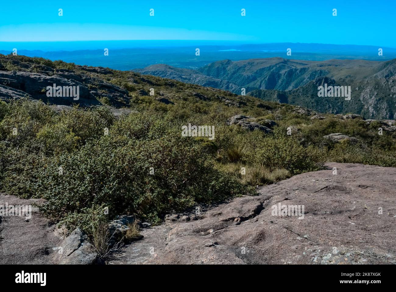 Pampas grasslands hi-res stock photography and images - Alamy