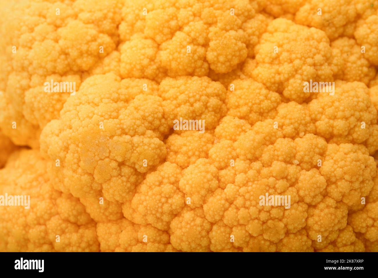 Macro texture of cauliflower yellow. Food background. Colorfu ...