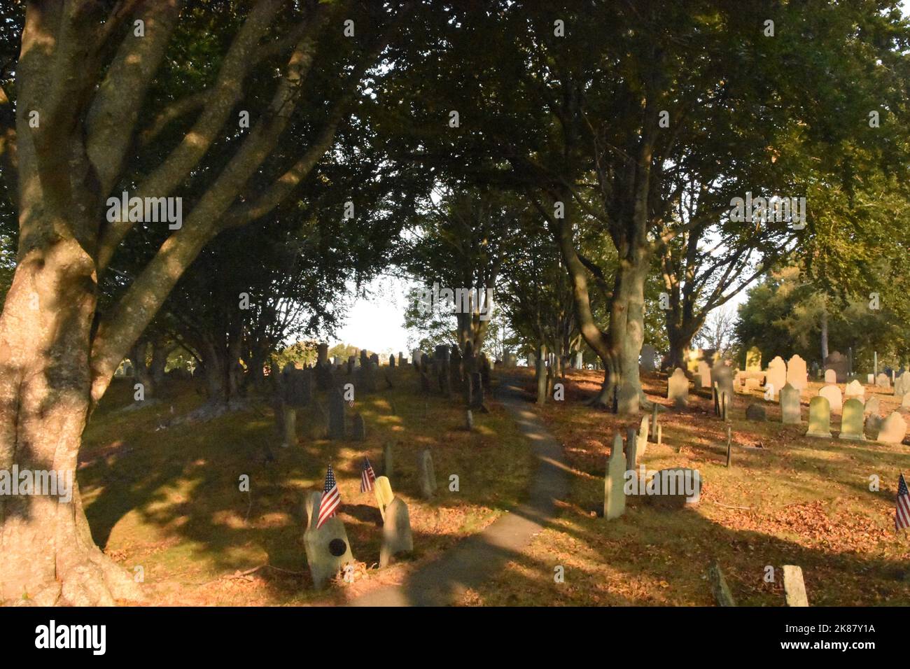 Narrow winding path through woods hi-res stock photography and images ...