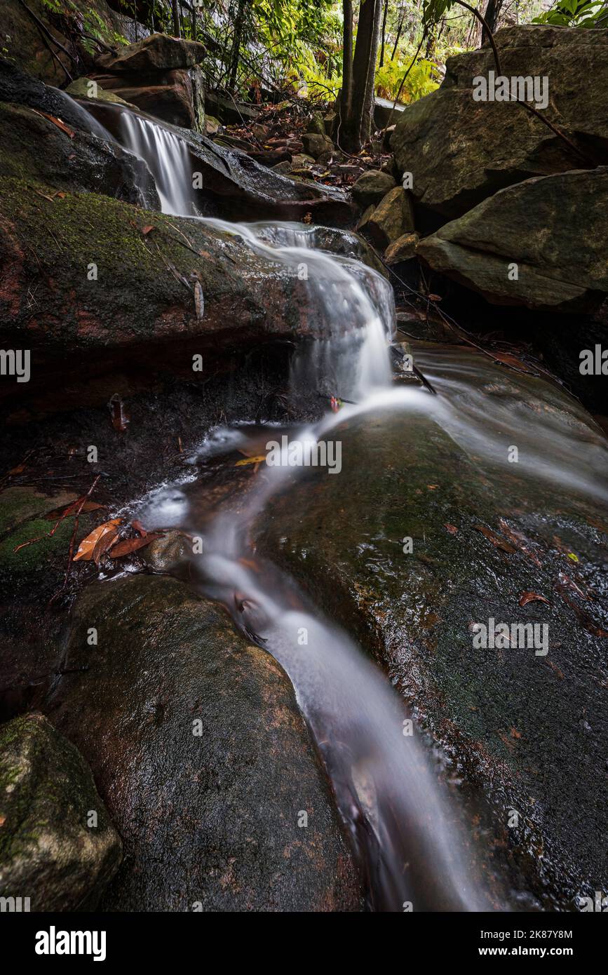 A vertical shot of a water cascade flowing down the rocks in Brisbane ...